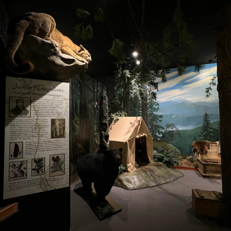 Exhibitions at the Douglas County Museum - Roseburg, OR